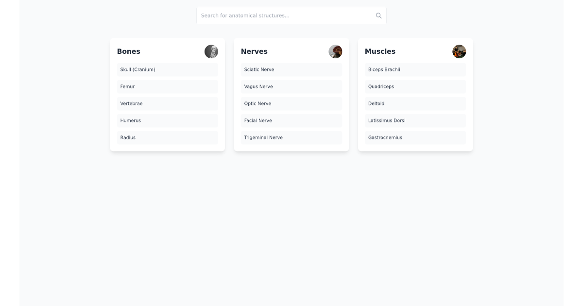 Anatomy Browser Component - Free Angular, Tailwind Component