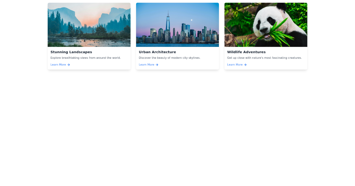 Animated Card - Free React, Tailwind Component