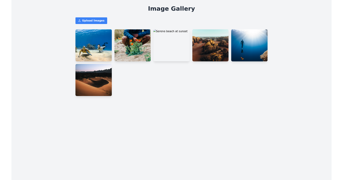 Gallery Page - Free React, Tailwind Component