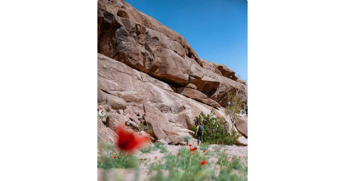 Carousel - Free React, Tailwind Component