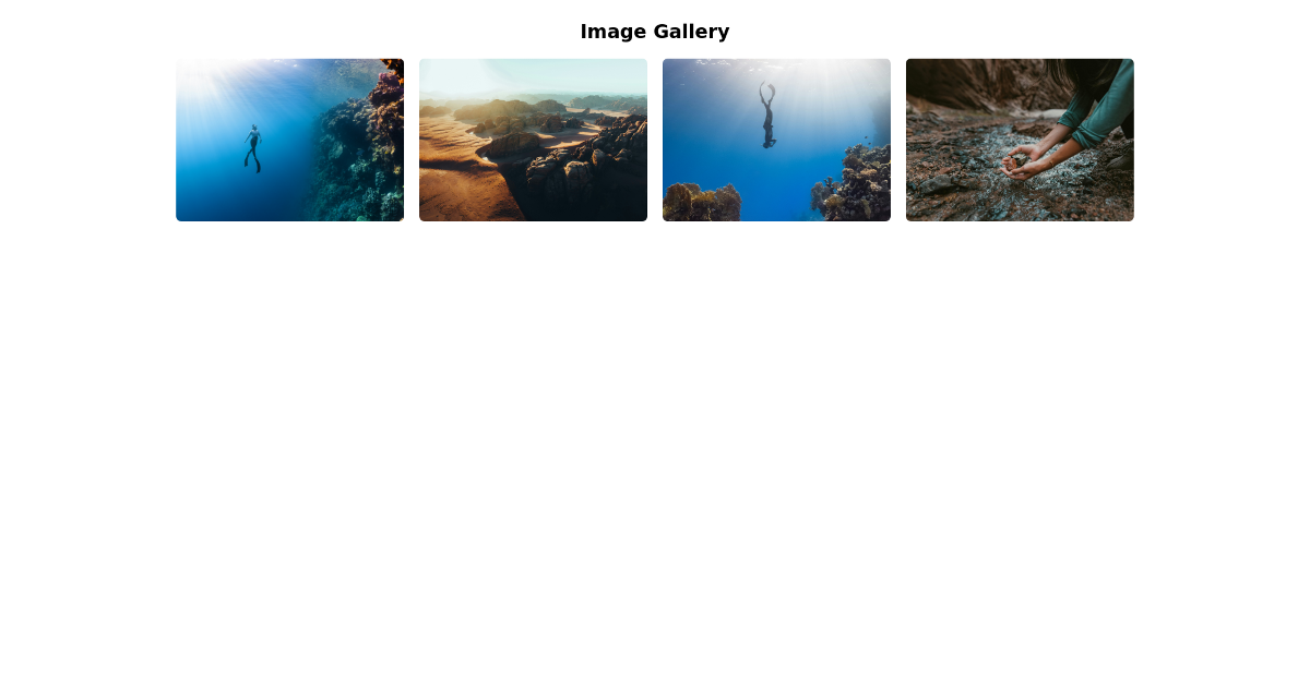 Image Gallery - Free React, Tailwind Component