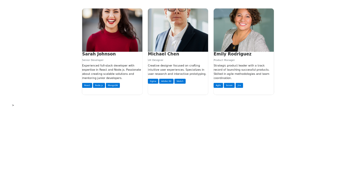 Team Members Grid - Free Html, Bootstrap Component