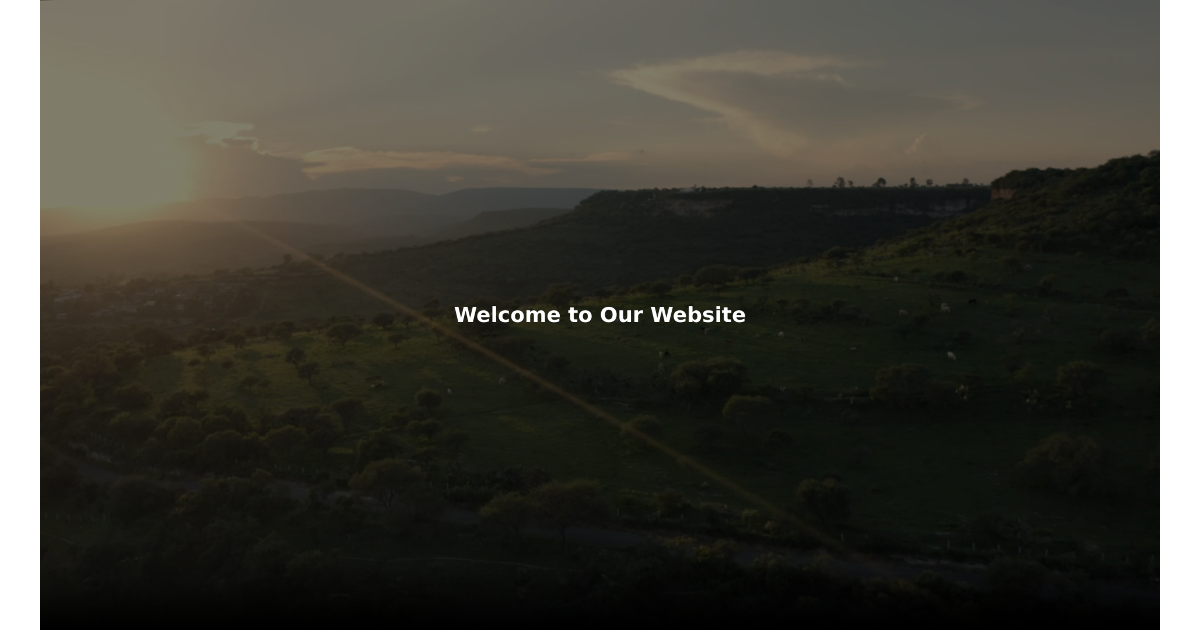 React Video Background Component with Overlay Options | Tailwind