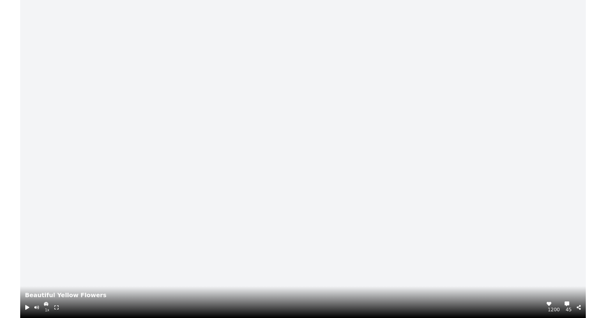 Video Scroll Page - Free React, Tailwind Component